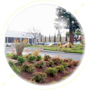 Clinical Manufacturing - List Labs