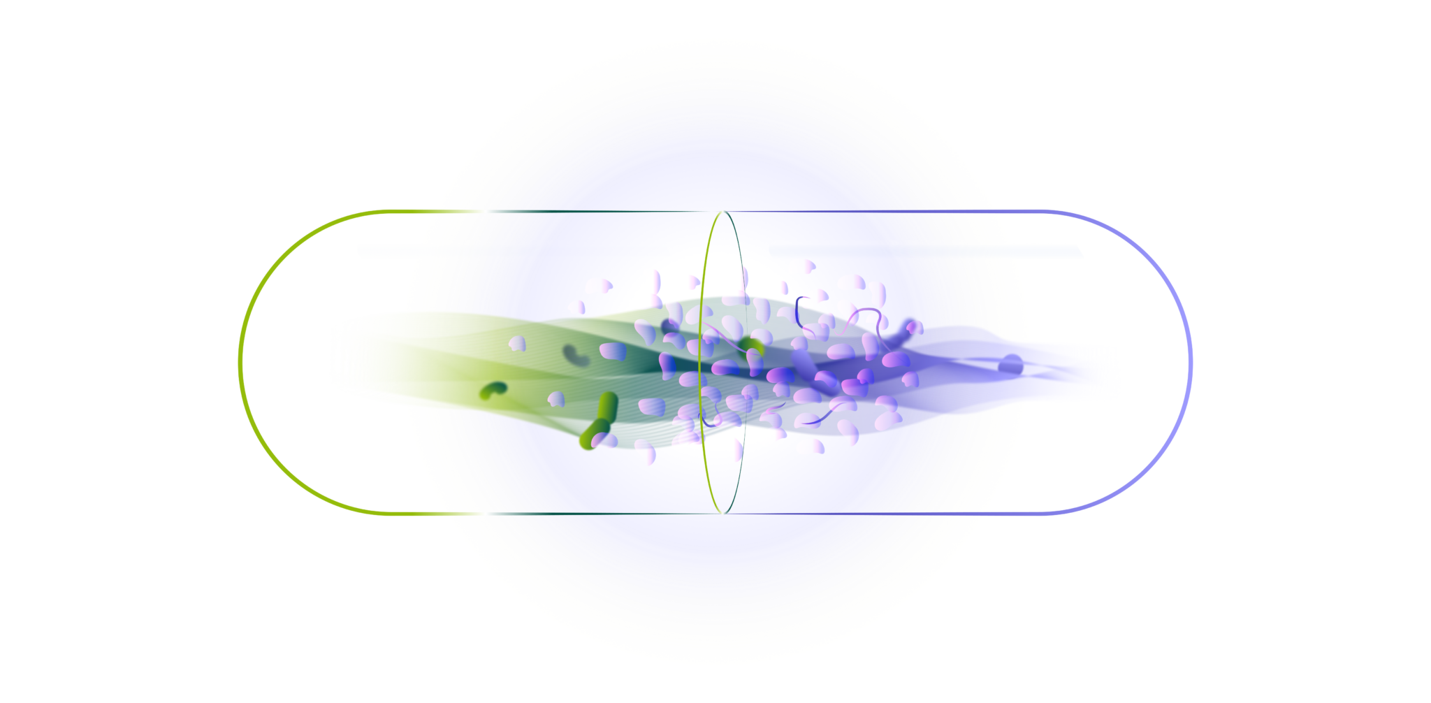 About Us - Your CDMO Partner| List Labs