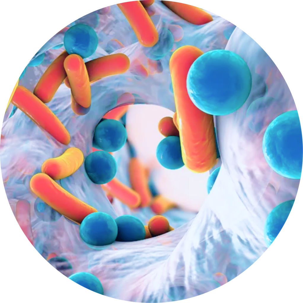 Live Biotherapeutic CDMO Services | List Labs