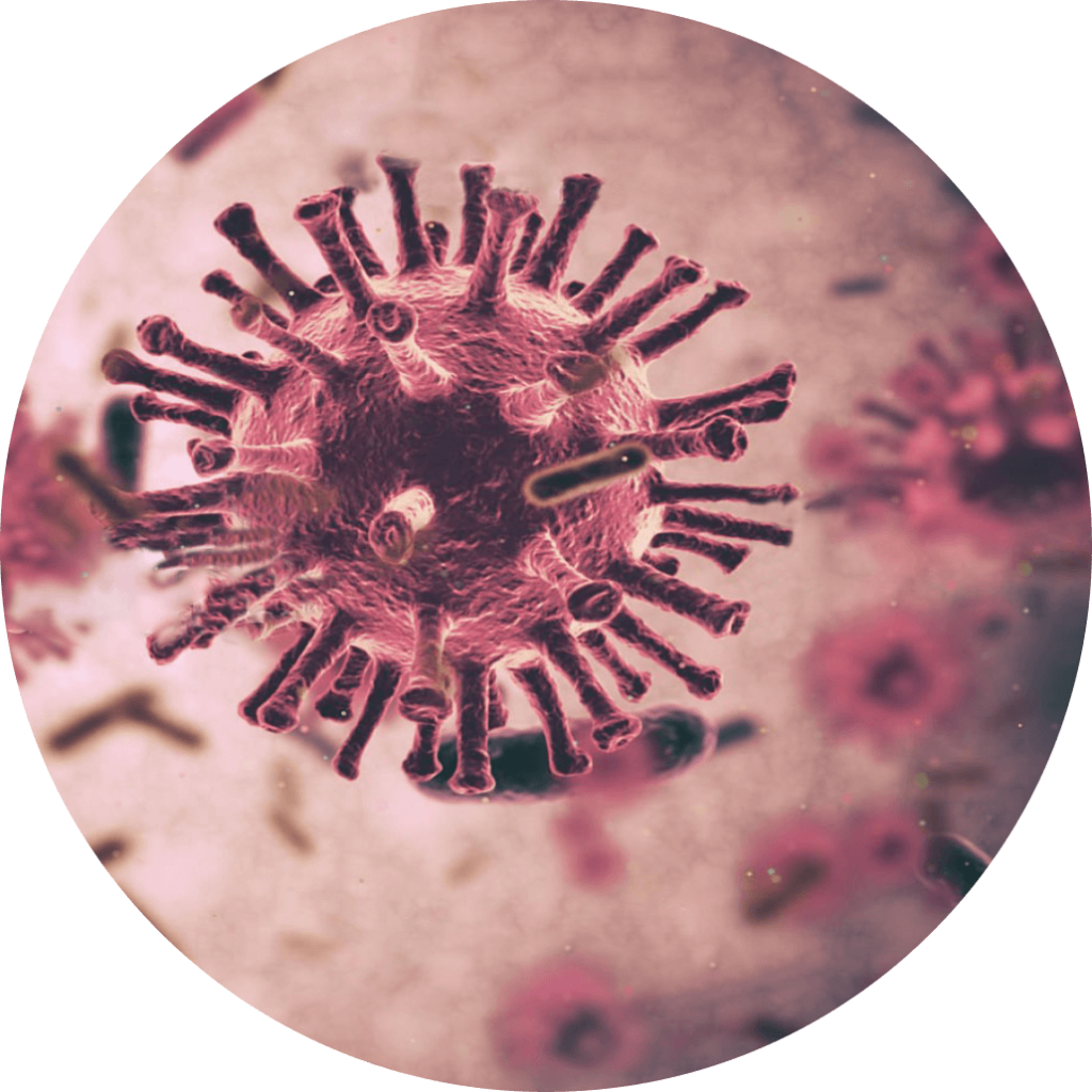 About Bacterial Toxins | List Labs